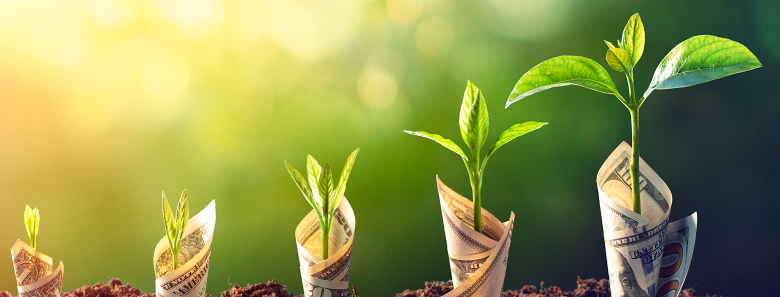 Home | State Bank Northwest